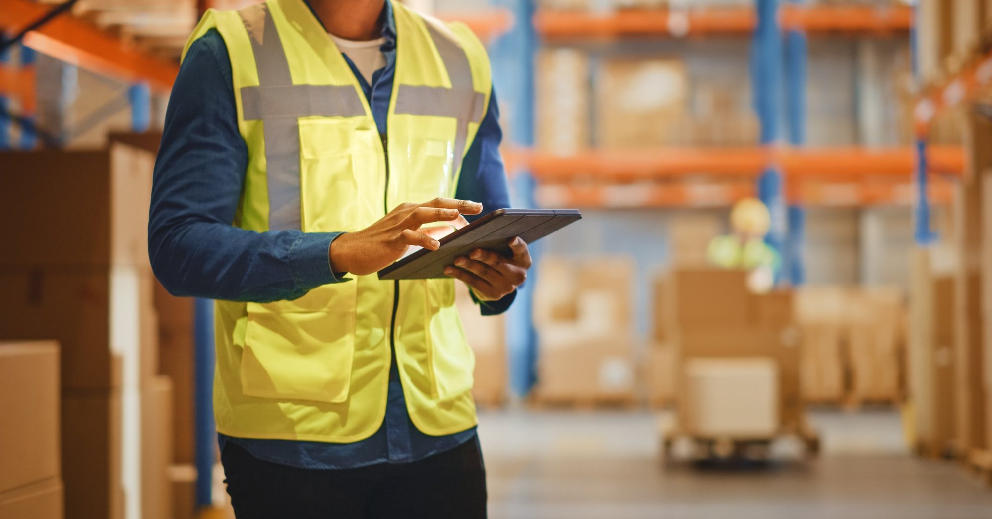 Gestión de almacenes: protección y seguridad con WMS Cloud